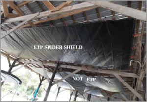 Spider Dropping Tarp | Spider Dropping Net | Spider Shield